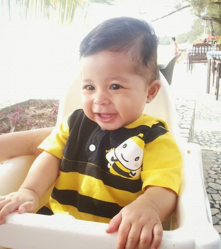 Lynkin Blog Viva Merah