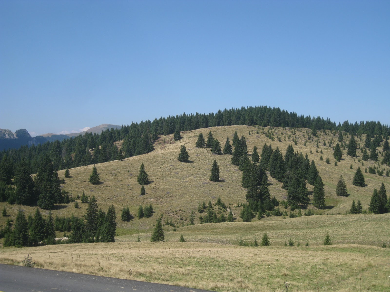 Impresii de calatorie: Drumul Transbucegi, Cabana Dichiu, Lacul Bolboci ...