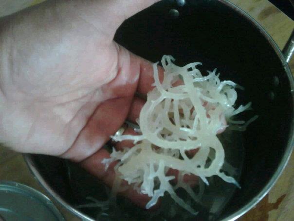 Rumput Laut Indonesia: Edible seaweed di berbagai tempat dengan ...