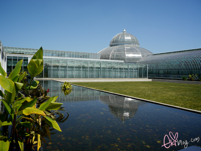 ekiBlog.com: weekend escape to Como Zoo :D