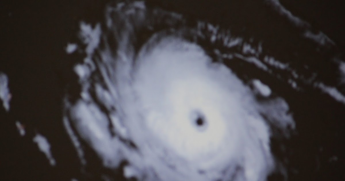 Purple Walrus Press: Alabama resident who reported to Purple Walrus ...