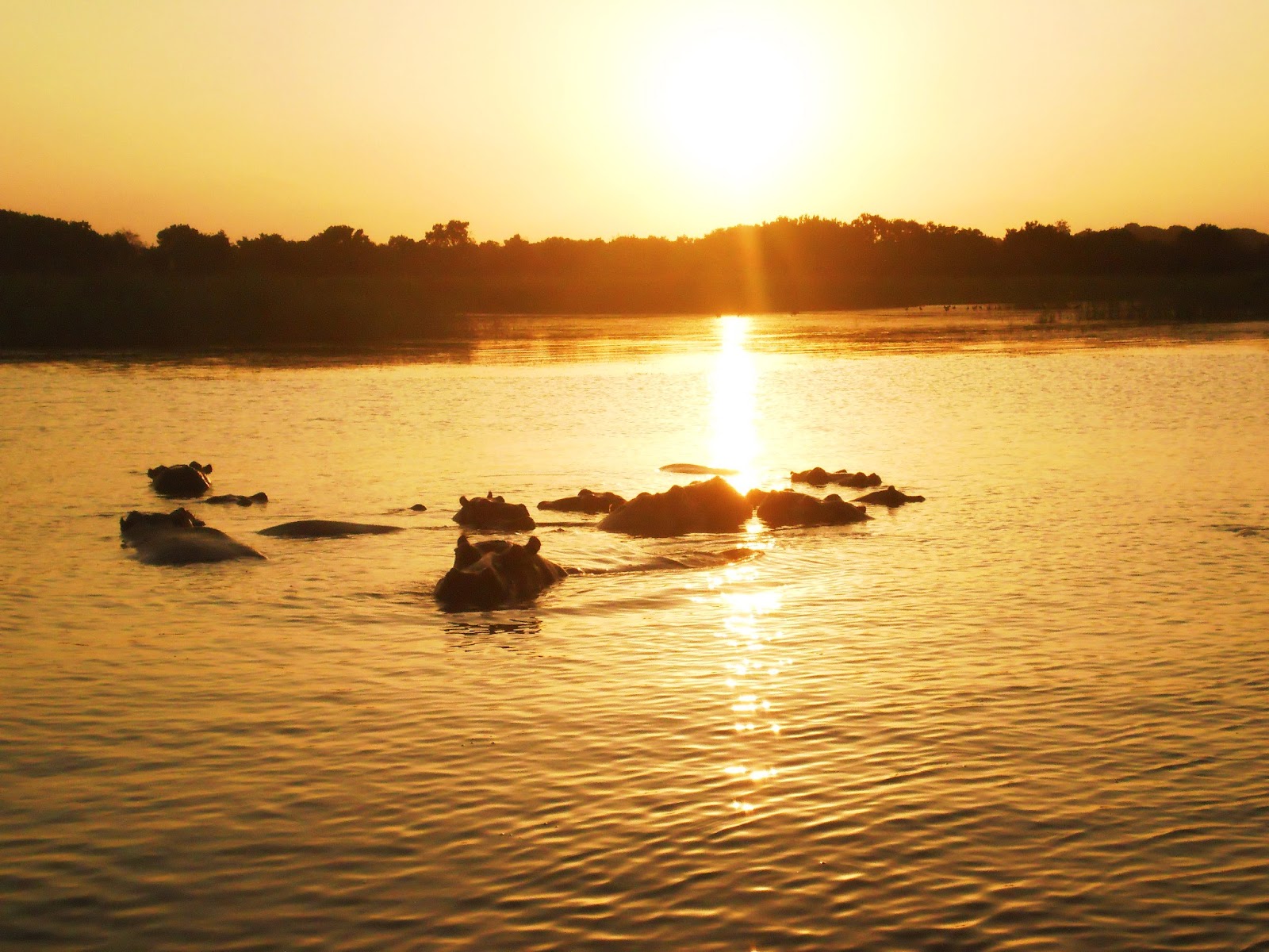 Robyn Holmyard: Printed Textiles Design