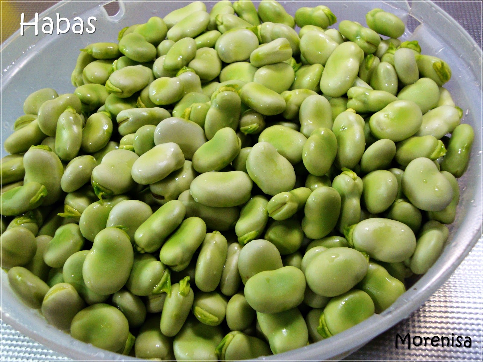 LA COCINA DE MORENISA: Habas en Conserva