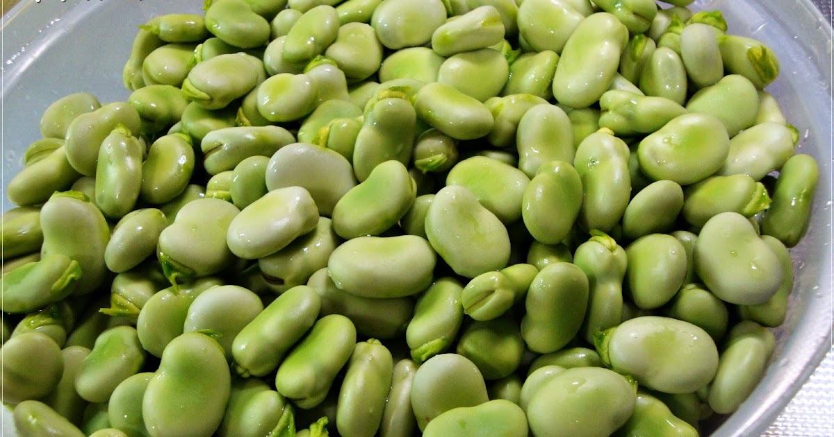 LA COCINA DE MORENISA: Habas en Conserva