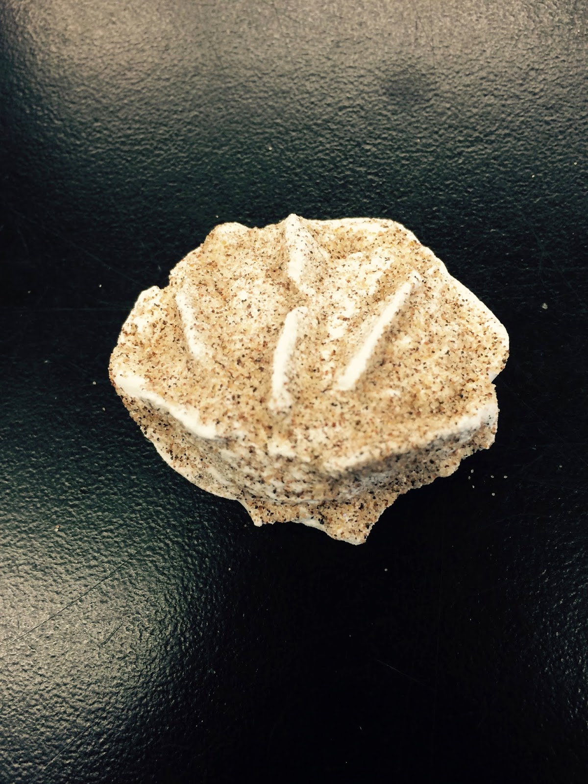MSED 252 Earth Science for Educators