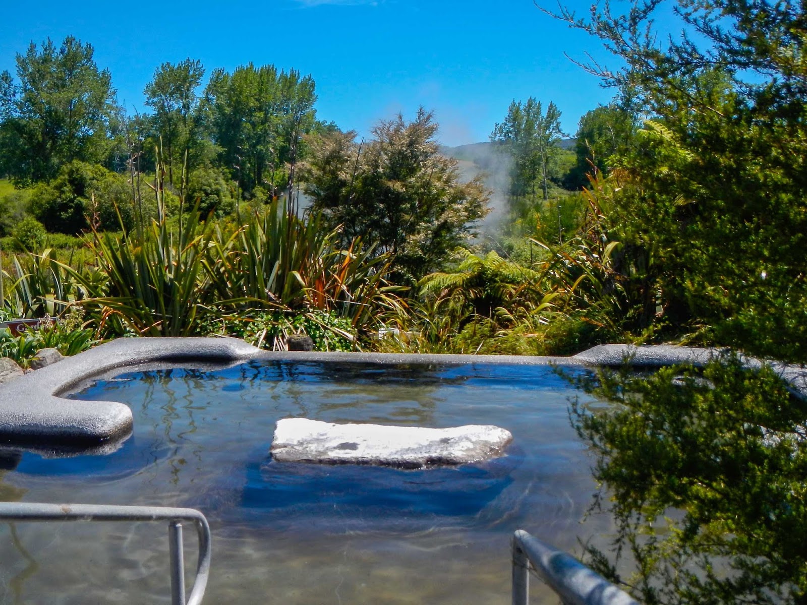 Along for the ride: Hot Springs North Island, New Zealand