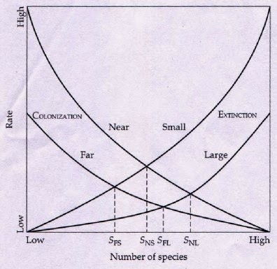 Eco-Evo Evo-Eco: Eco-evolutionary Island Biogeography