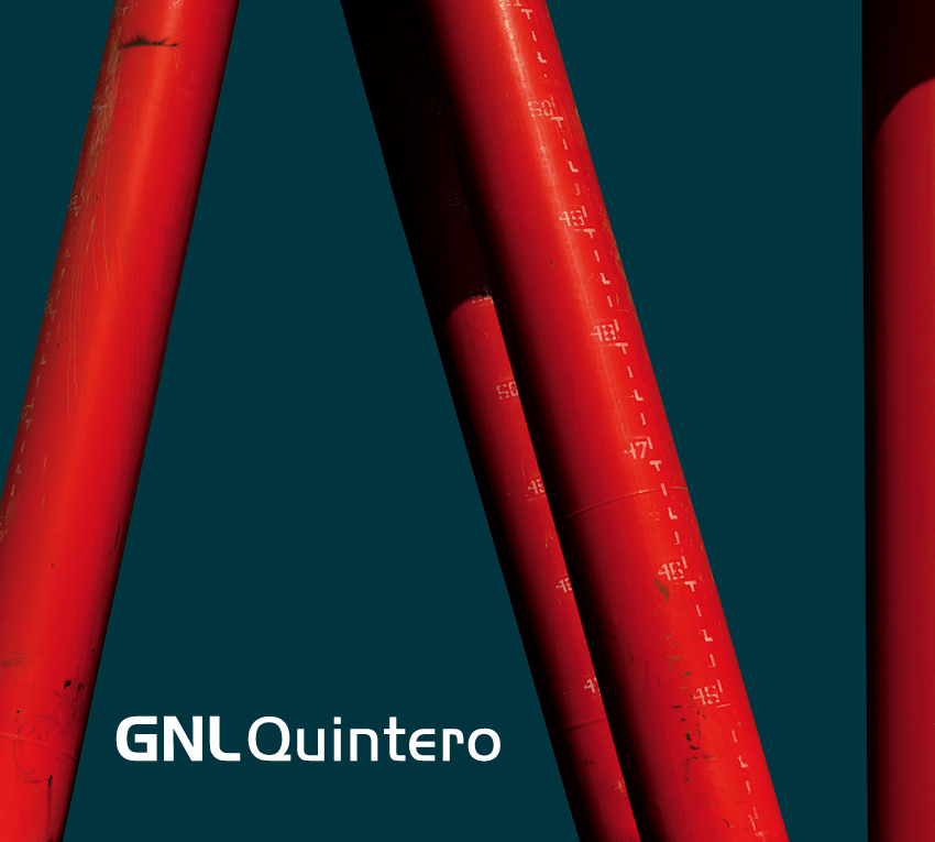 La mosca detrás de la oreja: Libro GNL Quintero