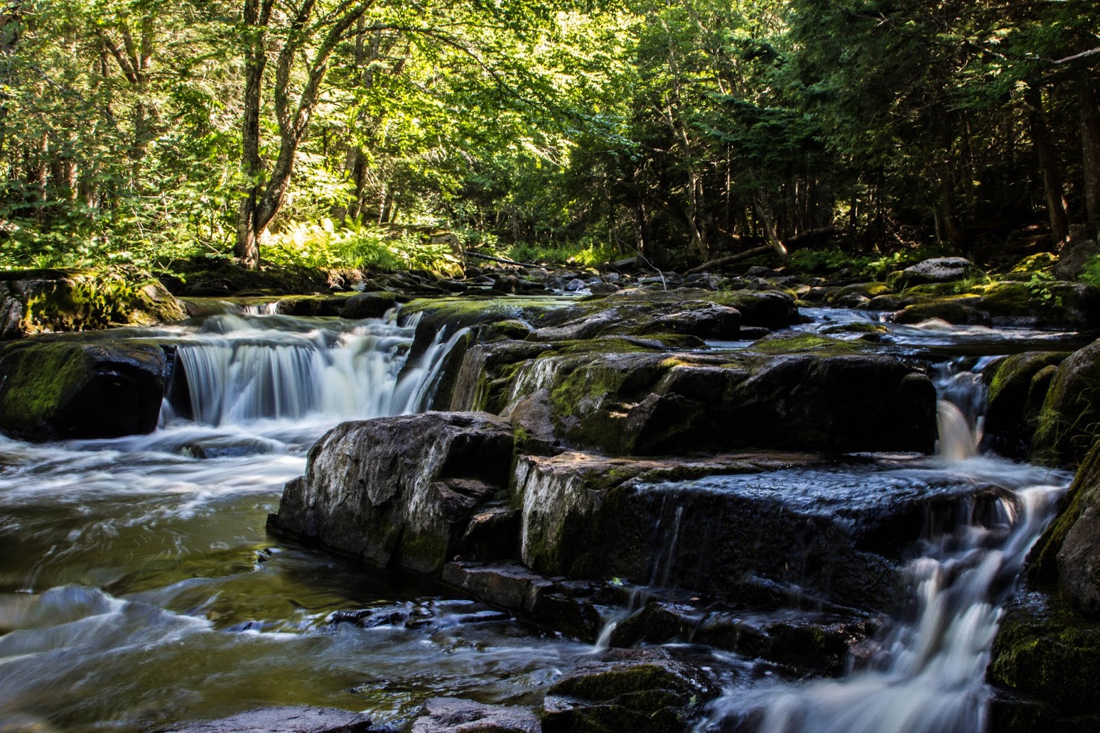 Waterfalls and More: Big Pokiok Falls