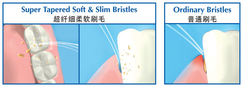 Systema 3D Clean | Berus Gigi Terbaru Dari Jepun | AYUE IDRIS