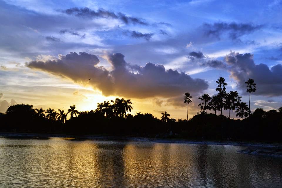 NACHER WALLPAPERS | Goods Wallpaper