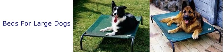 Beds for large dogs-Coolaroo Elevated Pet Bed