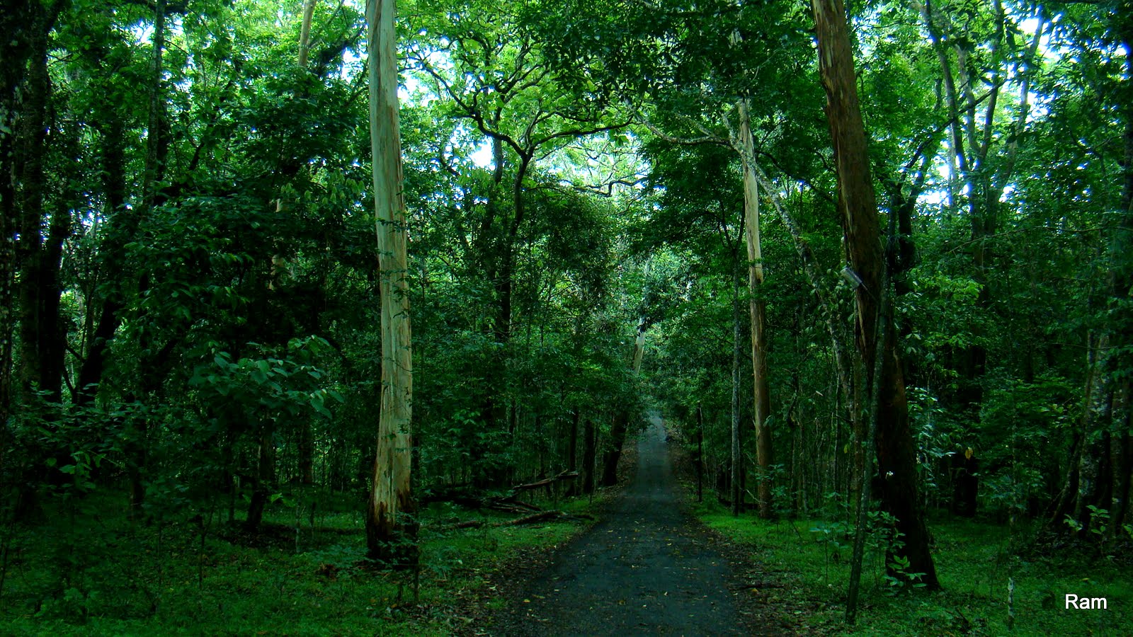 Say2daffodils: Gavi - Information about the place - Part 2