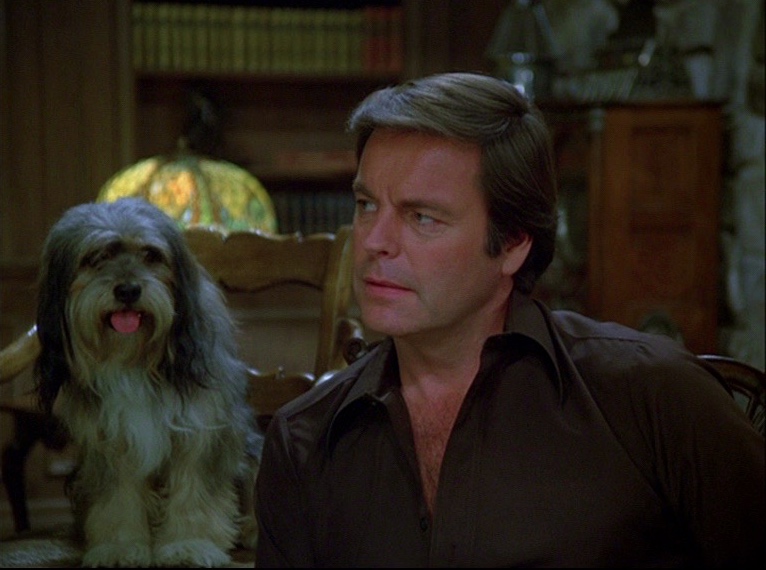 Cult TV Lounge: a very brief look at Hart to Hart season 1 (1979)