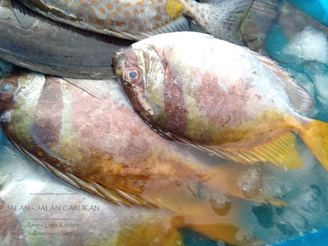 Jom Makan Ikan Segar - Amie's Little Kitchen