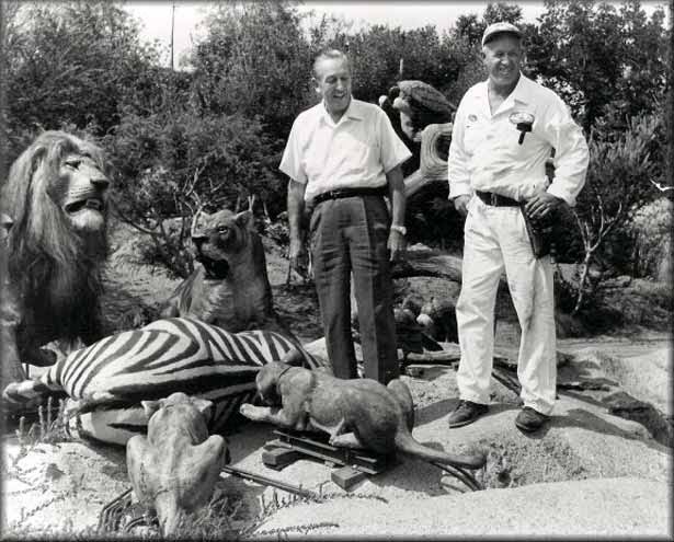 Old Photos of the Construction of Disneyland ~ Vintage Everyday