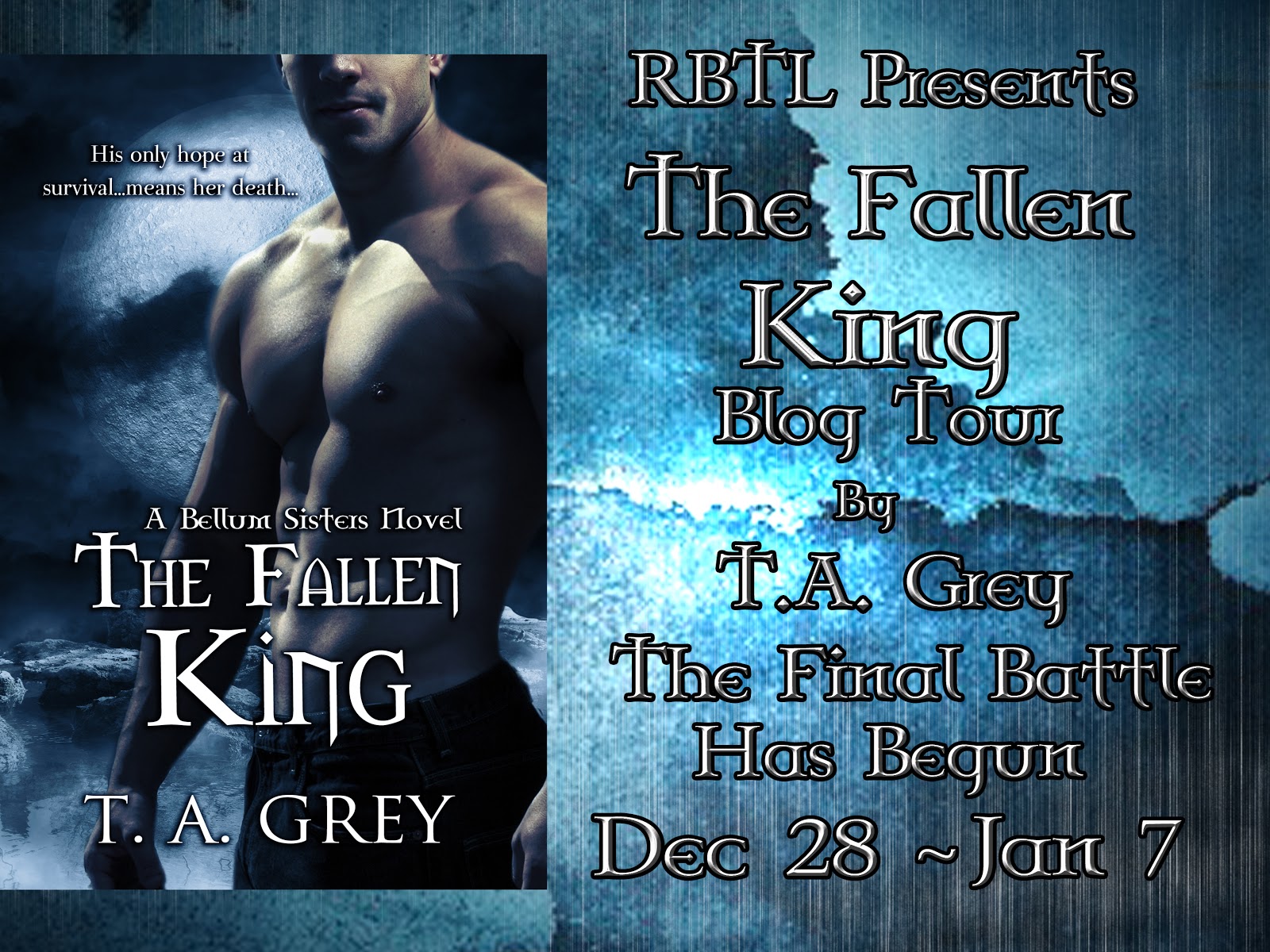 Katie Salidas: The Fallen King by T.A. Grey