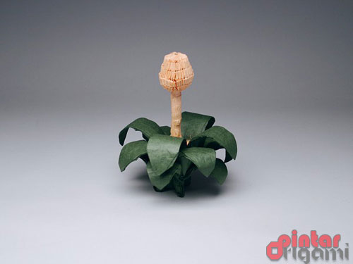 Origami Bunga Robert J Lang | Cara Membuat Origami | Bunga | Binatang ...
