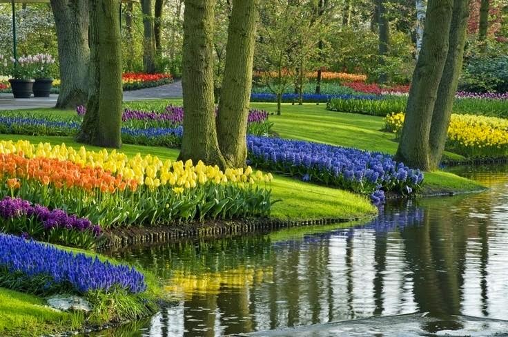 The most beautiful flower plantations and parks of the world | canon ...
