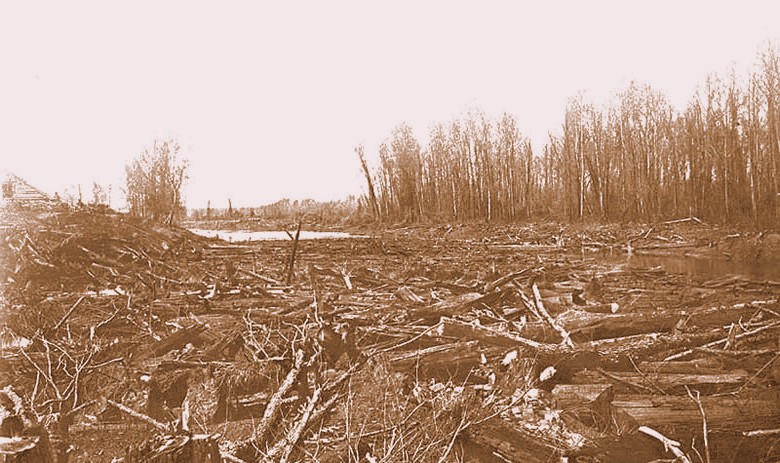 Eyes On Texas: The Great Raft of the Red River