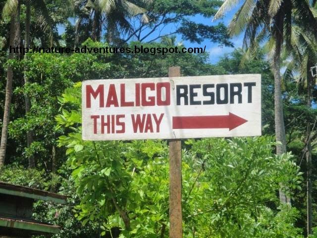 My Life's Adventures: How to get to Maligo Resort