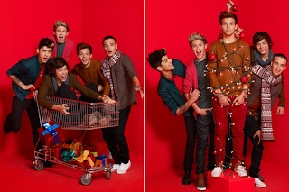 Llama's awesome blog: More One Direction!!!!