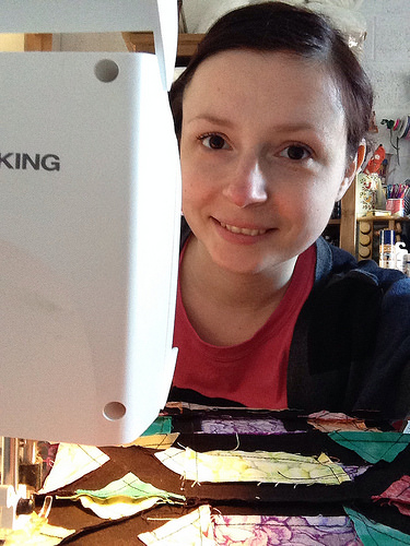 The Literate Quilter: Paint-By-Number Quilts: 4 Animal Appliques with ...