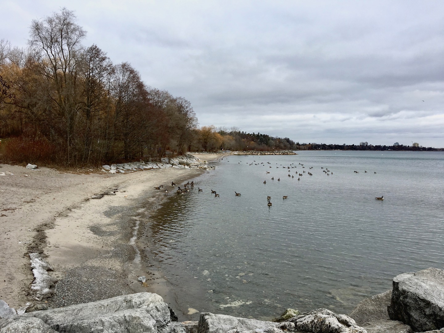 Canada | Rattray Marsh Trail