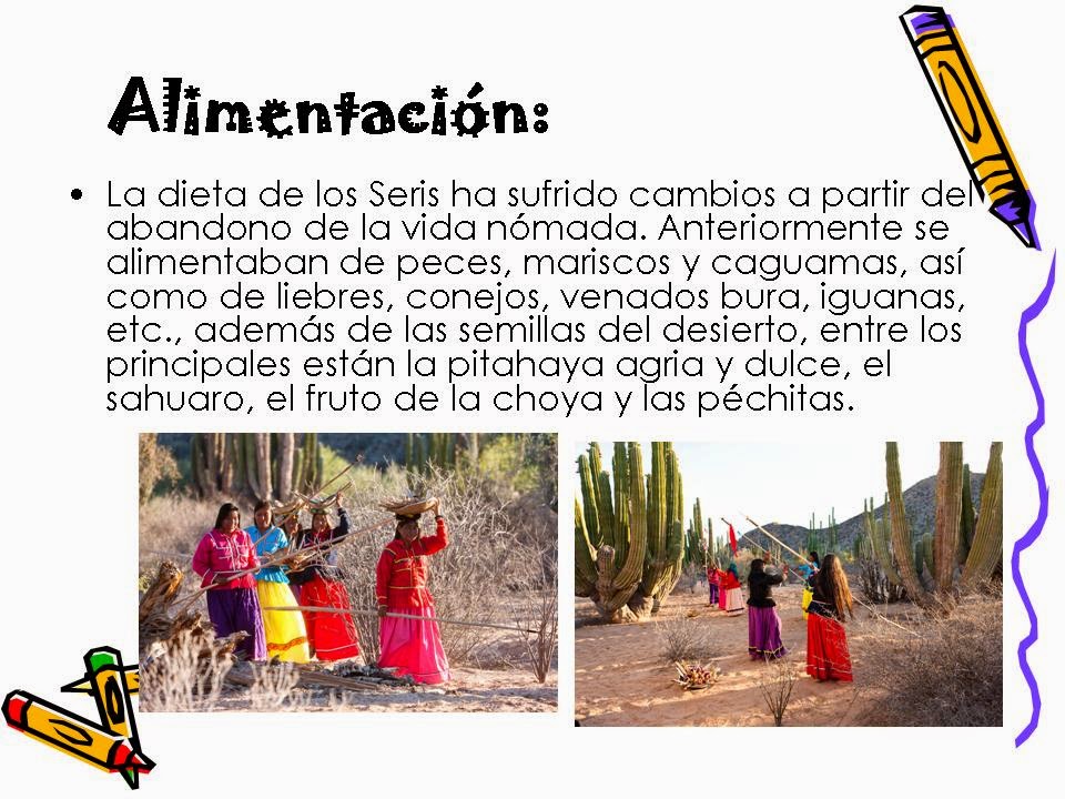 "Los rostros de mi entidad de Sonora": Actividades de Noviembre: Los Seris.