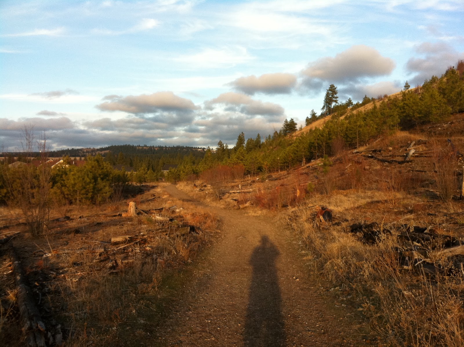 Wileydog Cycle: In Search of the Dwight Merkel trail to Riverside State ...