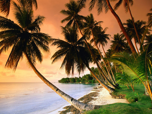 Micronesia - Travel guide