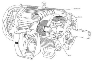 Konstruksi Generator Sinkron