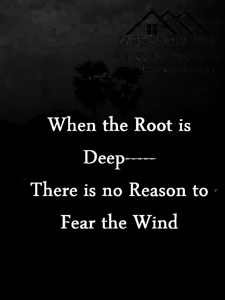 When the root is Deep. There is no reason to fear the Wind ~ God is Heart