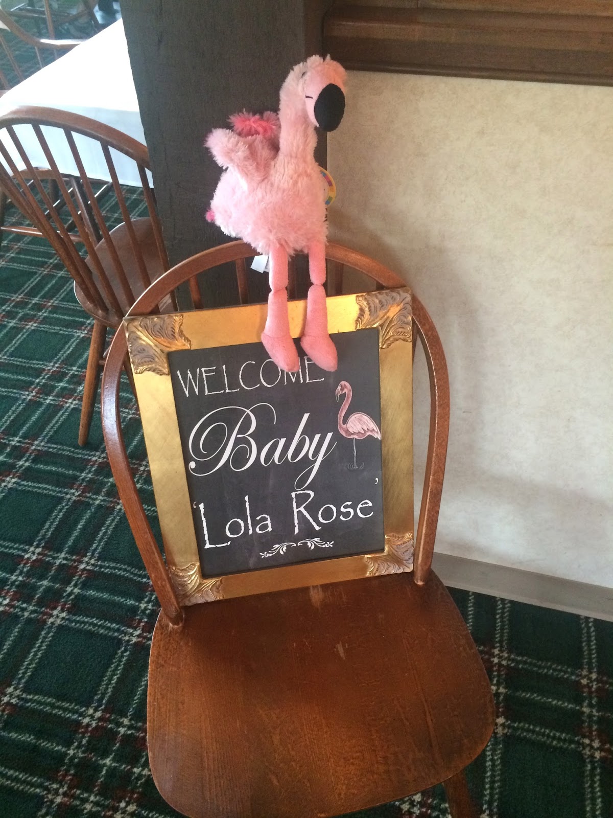 BABY KAUFMAN ADVENTURES: 31 WEEKS and Baby Shower