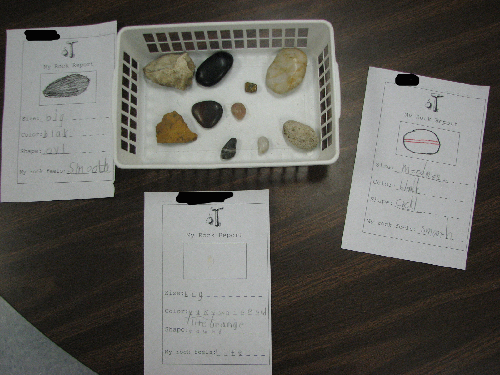 First Grade Randomness: Rocks and Soil Exploration