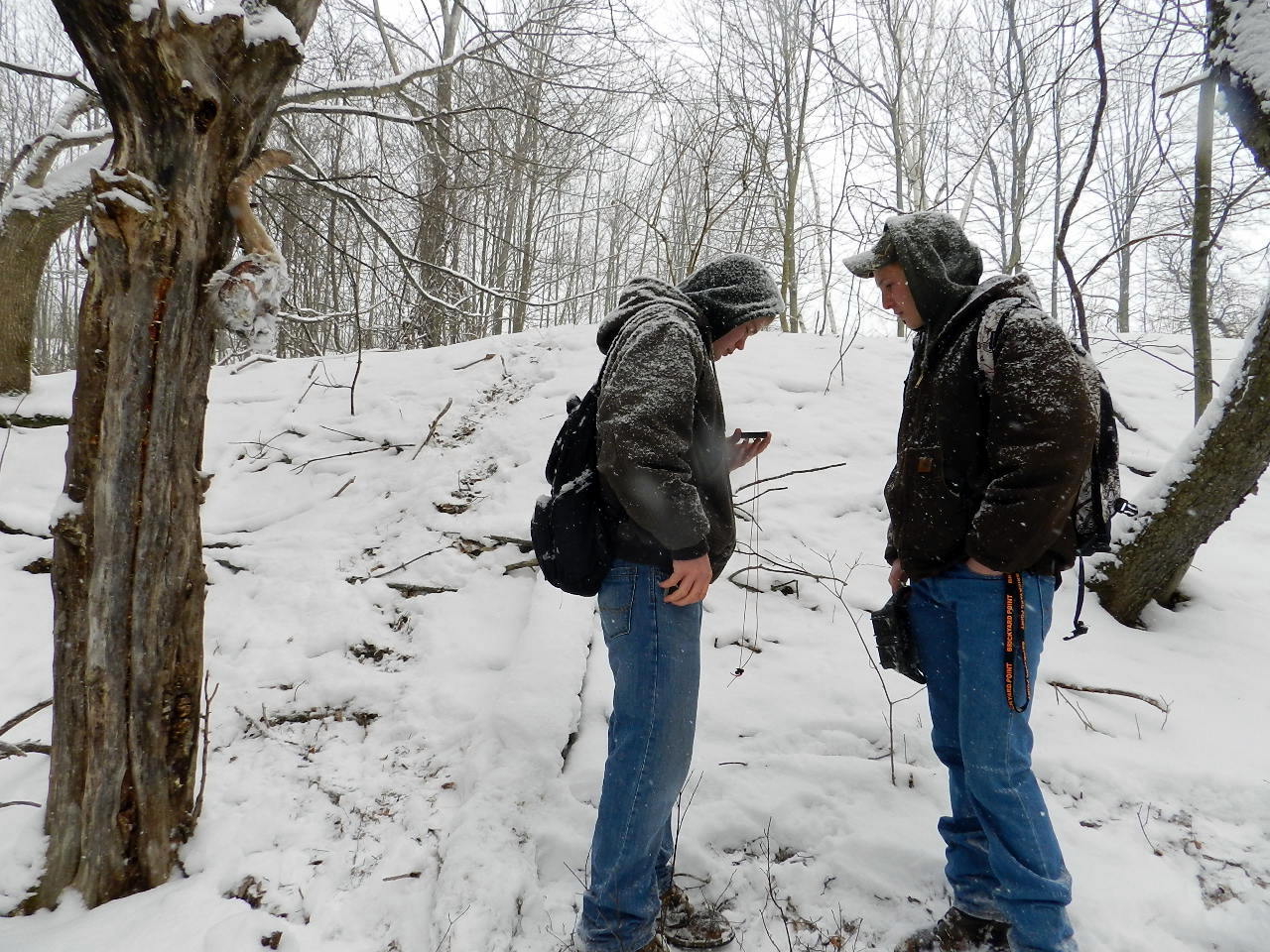 Nature in a Nutshell: Non-invasive wildlife sampling methods