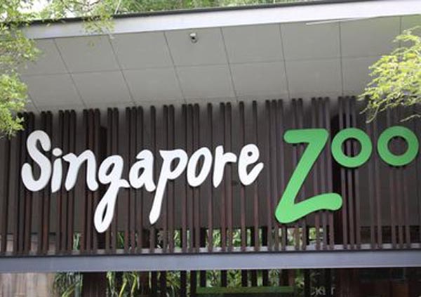 Free Amazing Images: 56 Zoo Signs And Travel Signs