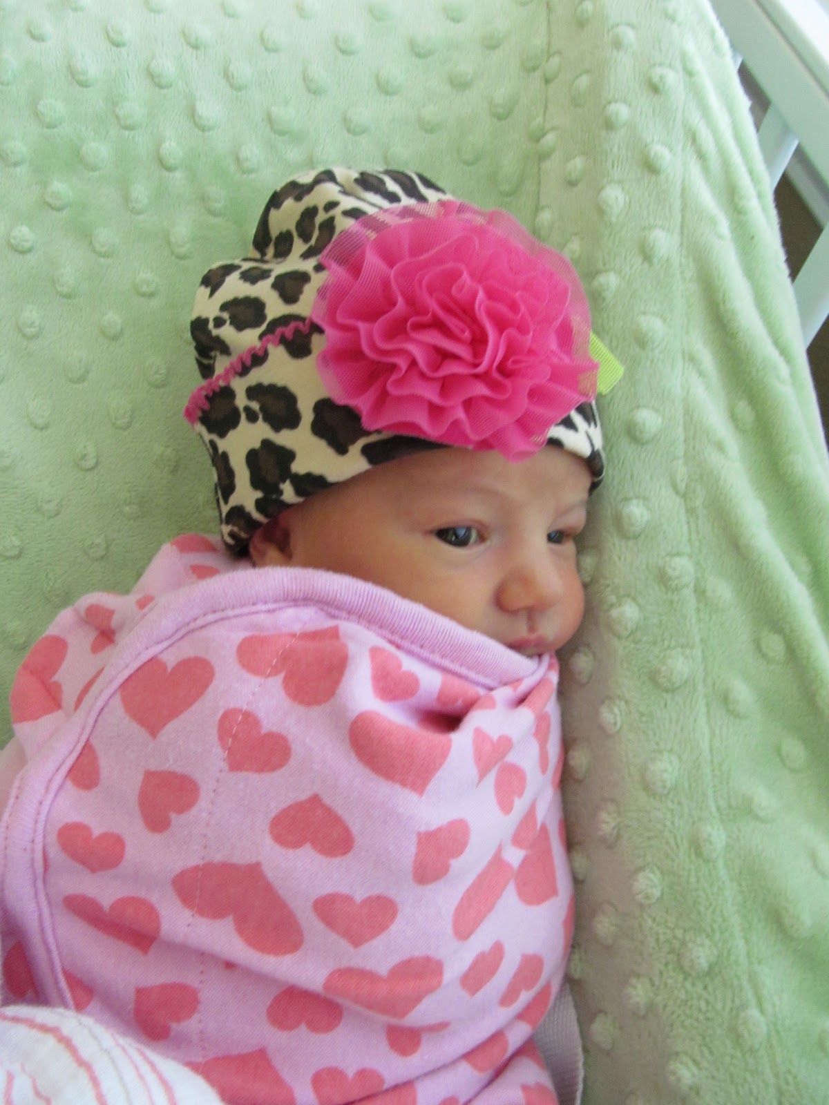 My Heart with Pleasure Fills: Introducing Raylyn