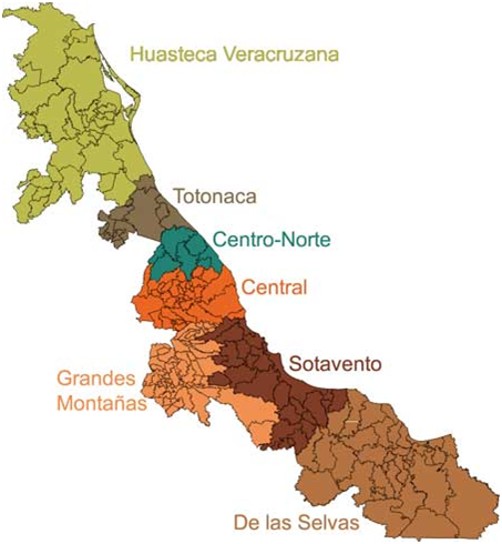 TOTONACAS EN PREESCOLAR: Cultura Totonaca