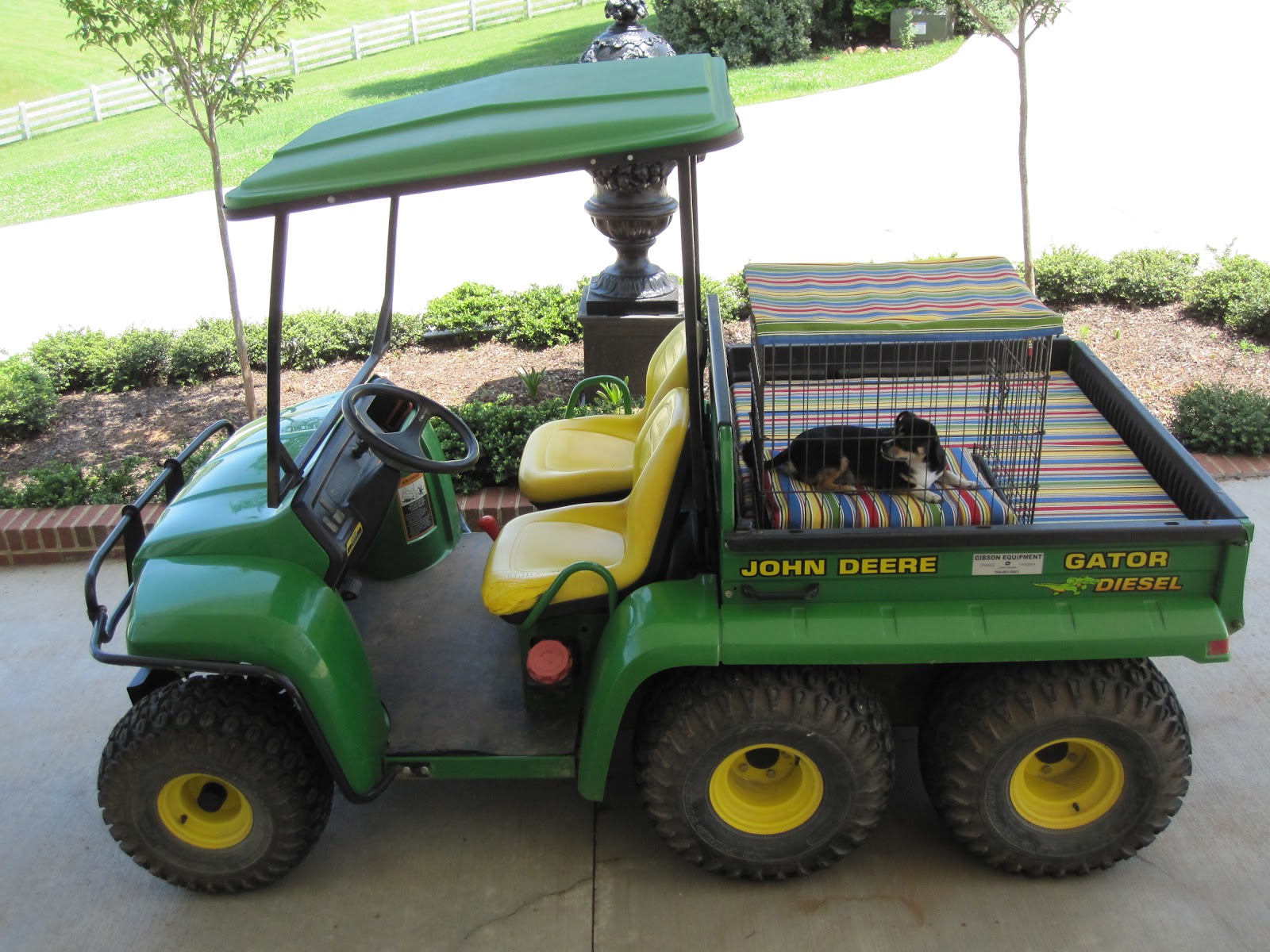 Lowfields Farm: Special Project: Pimp My Gator