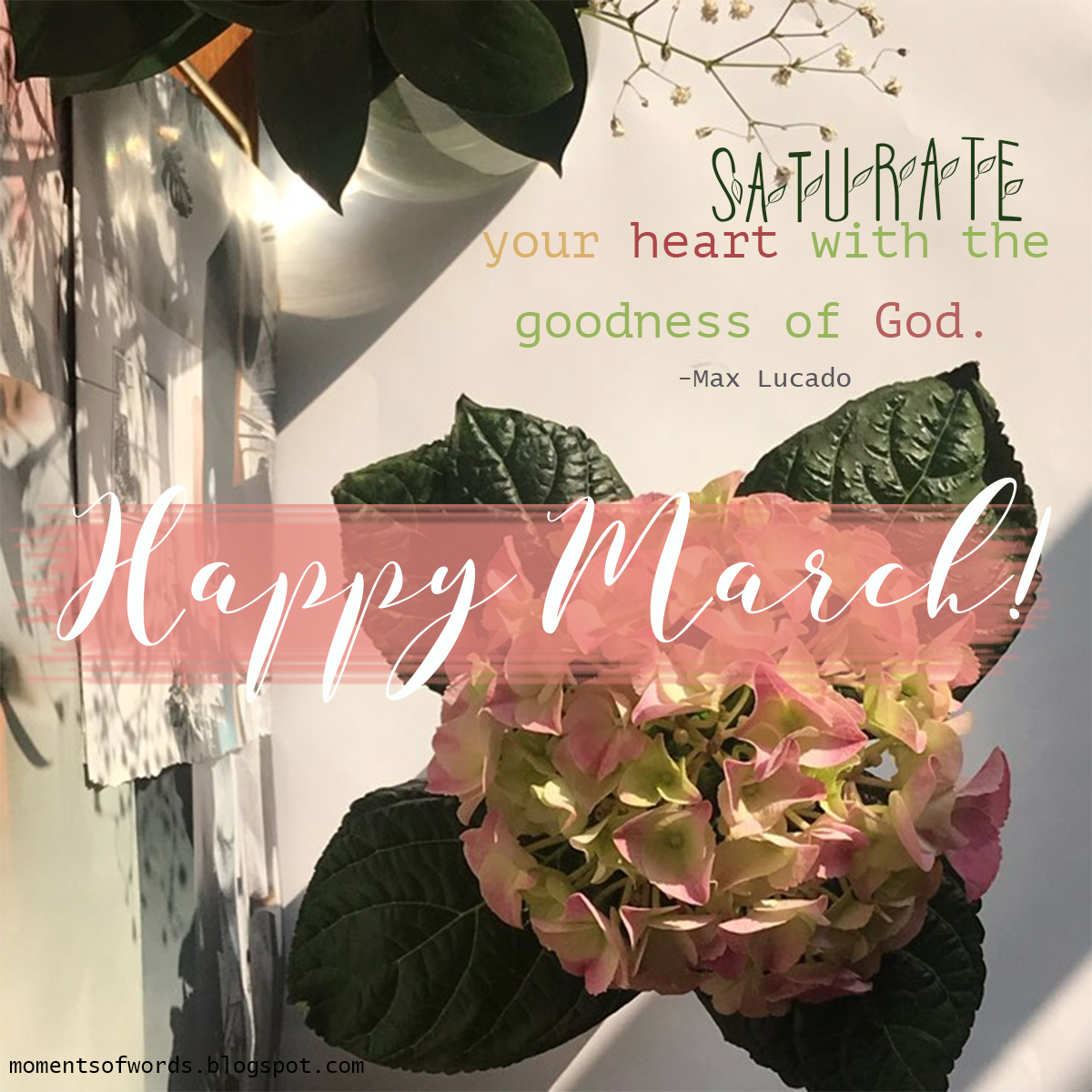 Have a blessed March! #happymarch | Moments of words