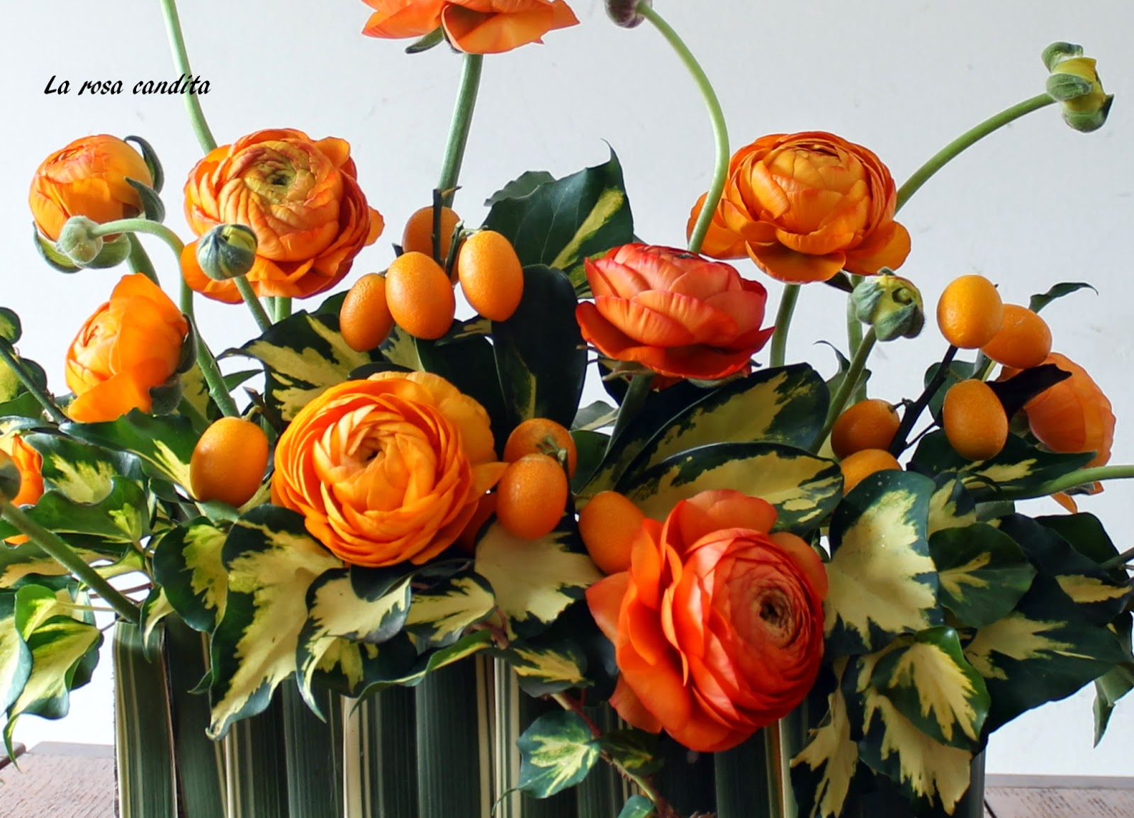 immagini composizione di fiori bellissimi