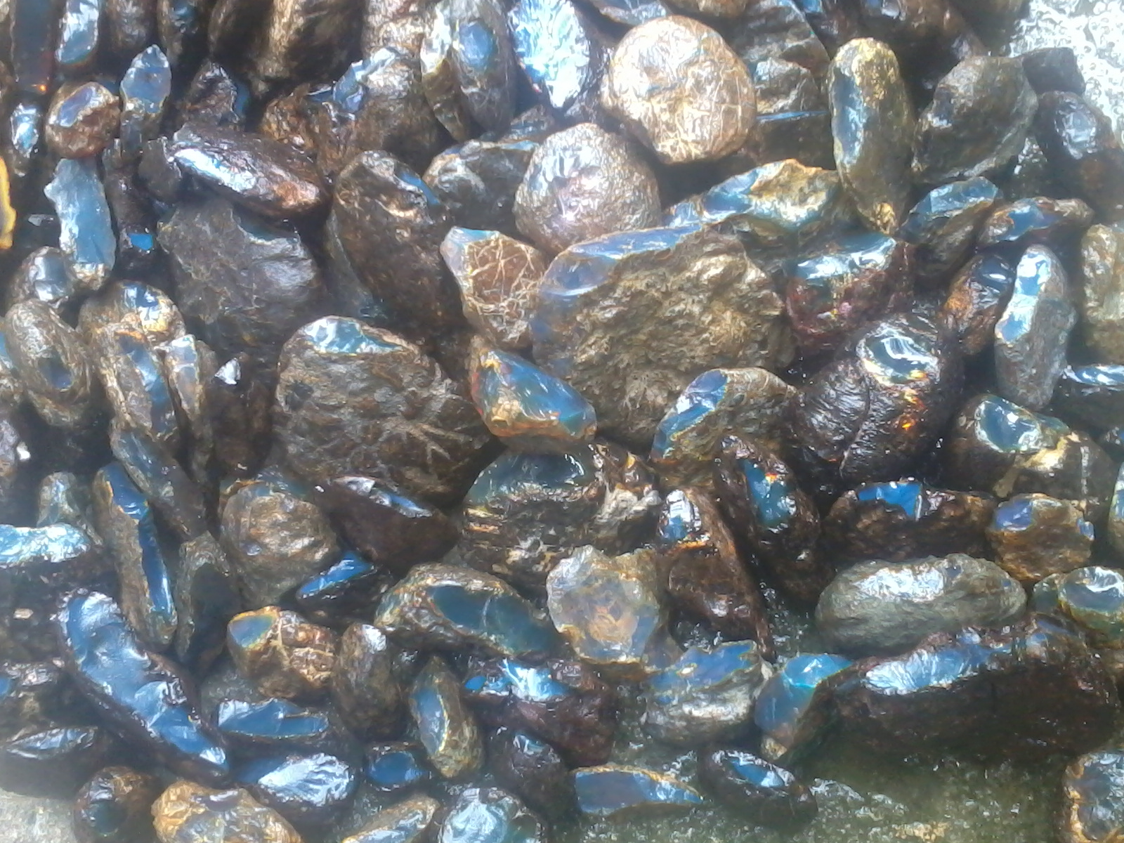 Taller De Ambar San Jose