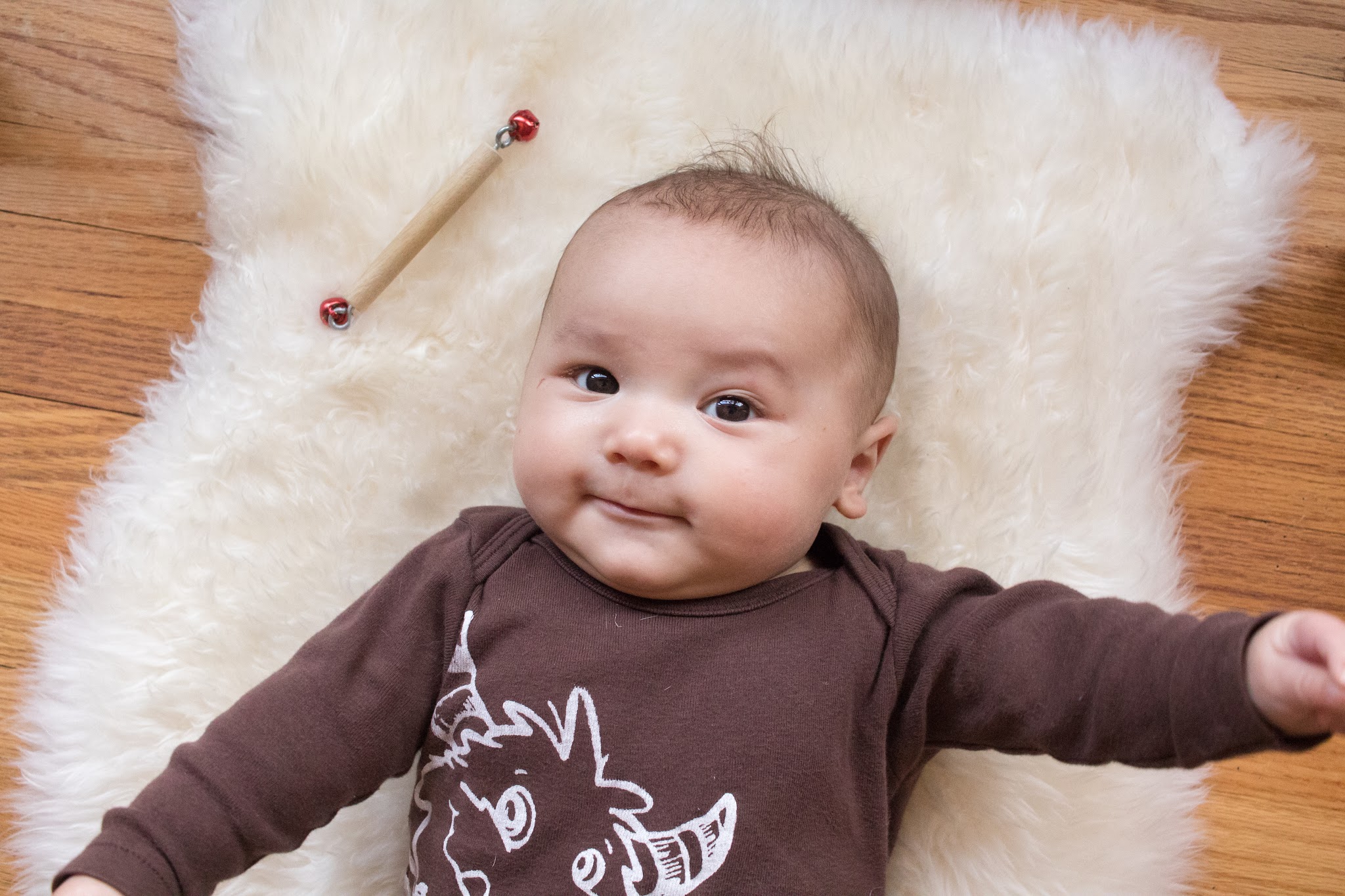 The Montessori Bell Rattle -- Montessori Baby Week 14