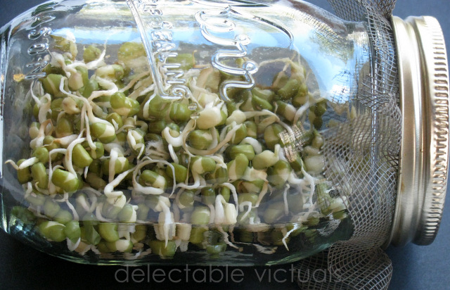 Delectable Victuals: Sprouted Moong Bean Salad