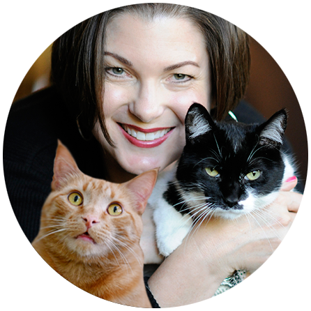 GLOGIRLY: 3 Helping Hero Therapy Cats Making a Difference