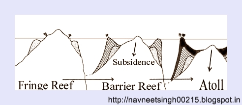 CIVIL SERVICES ARENA: Types of Coral Reefs