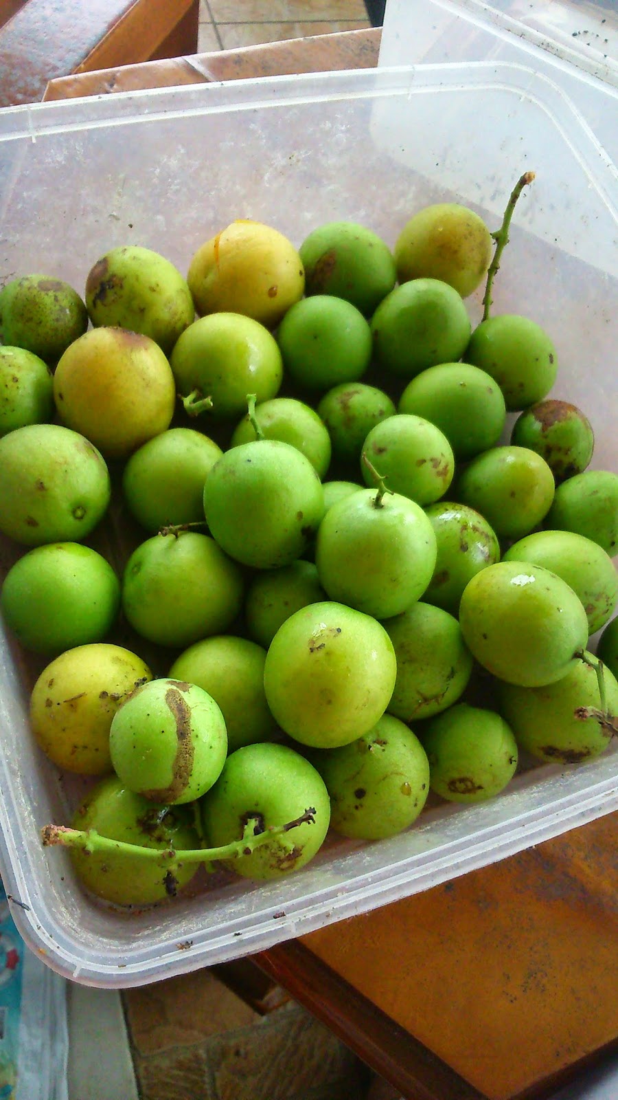 BukanSayaDisini: Kemasaman Buah Star