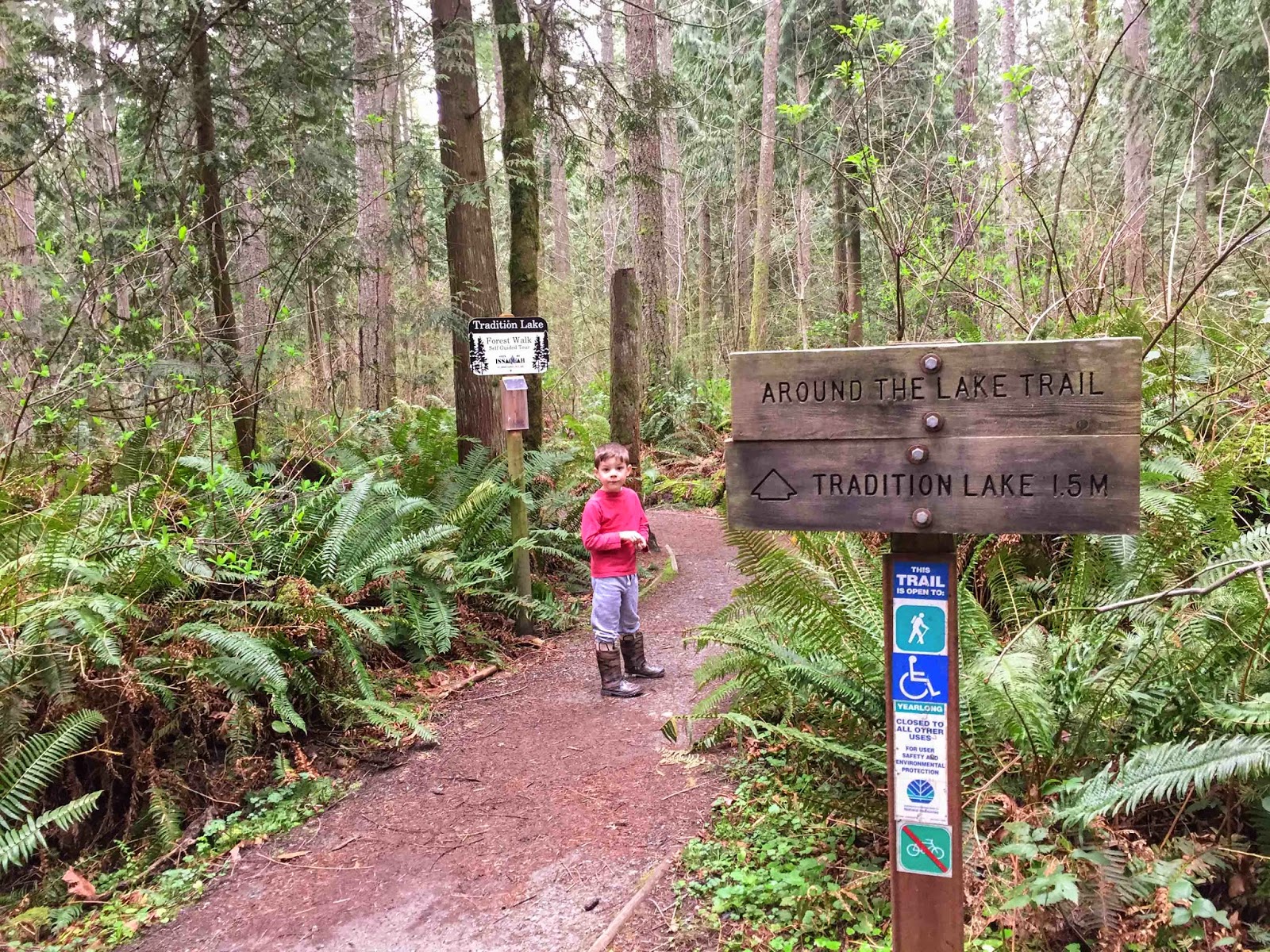 Pictures Around The Lake Trail Issaquah