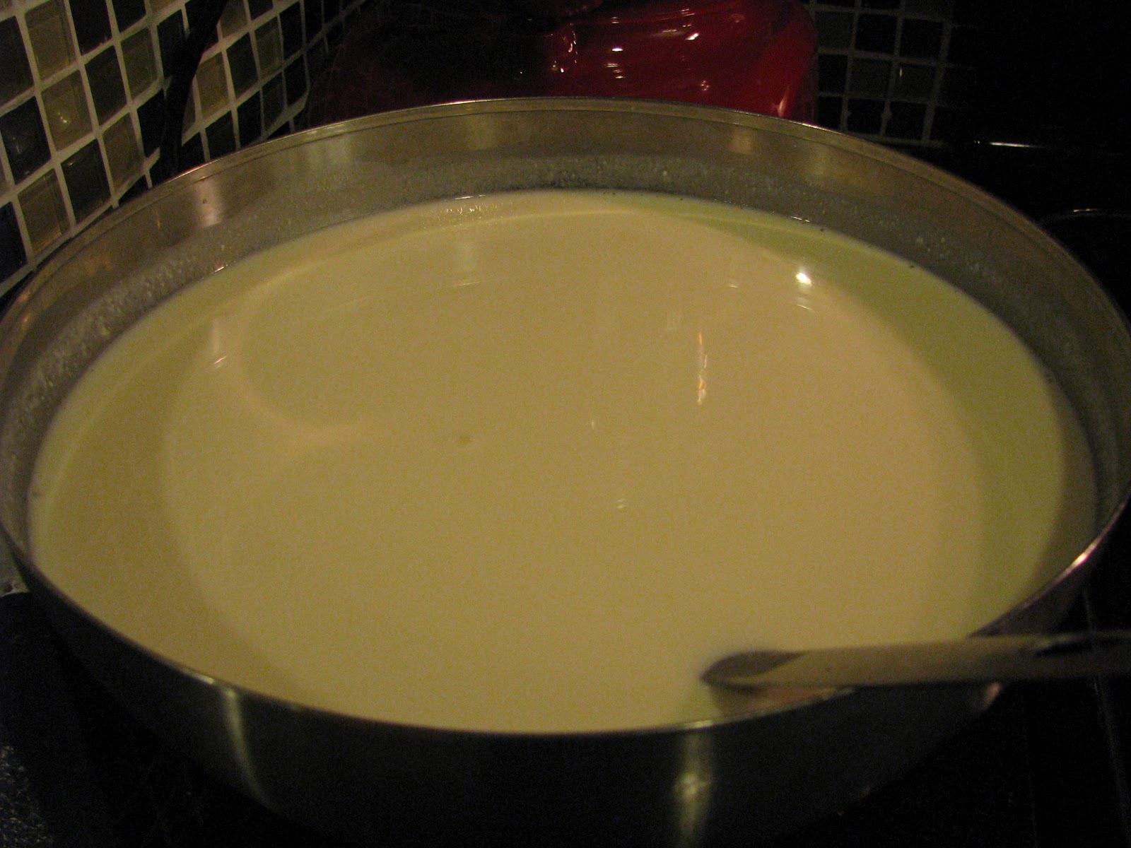 Young Mommy's Journey: vietnamese yogurt